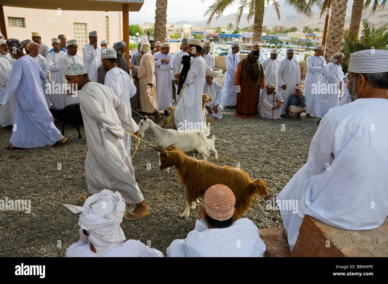Goat market Nizwa Sultanate of Oman Stock Photo - Alamy