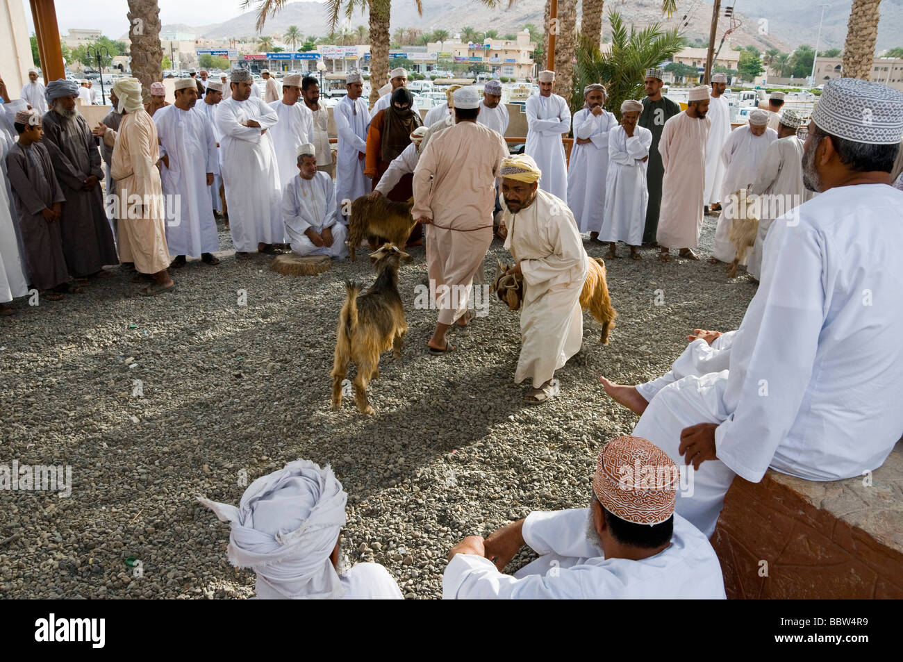 Goat Market Nizwa Oman Stock Photo - Alamy