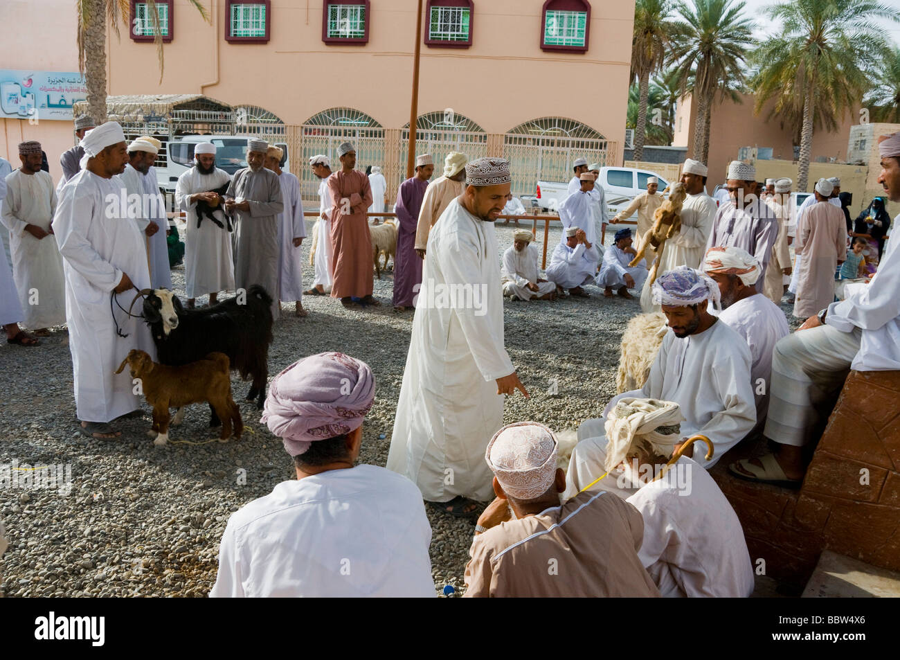 Goat market Nizwa Sultanate of Oman Stock Photo - Alamy