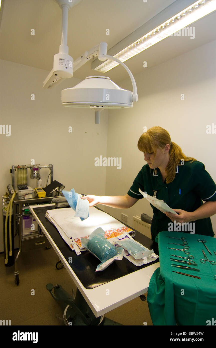 English vet hi-res stock photography and images - Alamy