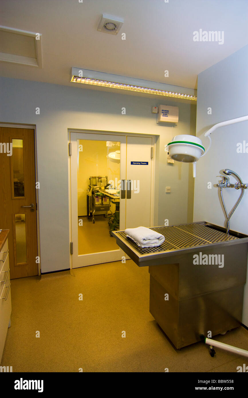 English vet hi-res stock photography and images - Alamy