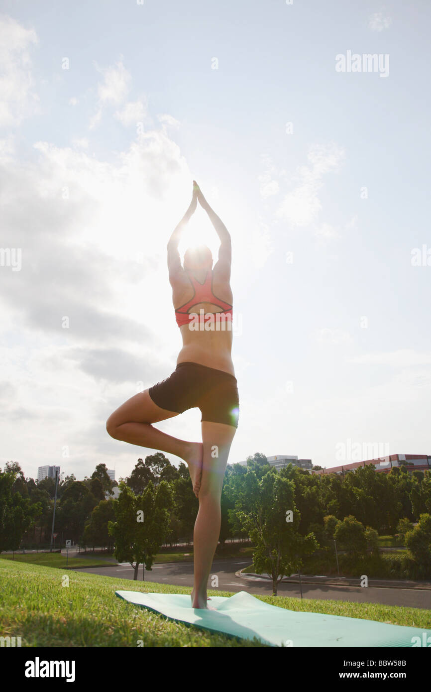 Young australian tree hi-res stock photography and images - Alamy