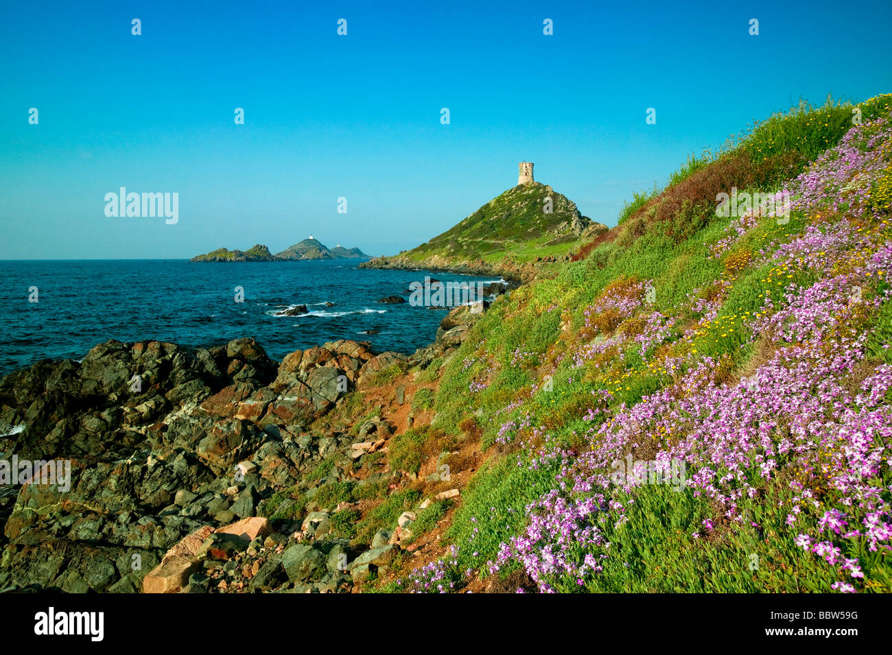 Parata tower hi-res stock photography and images - Alamy