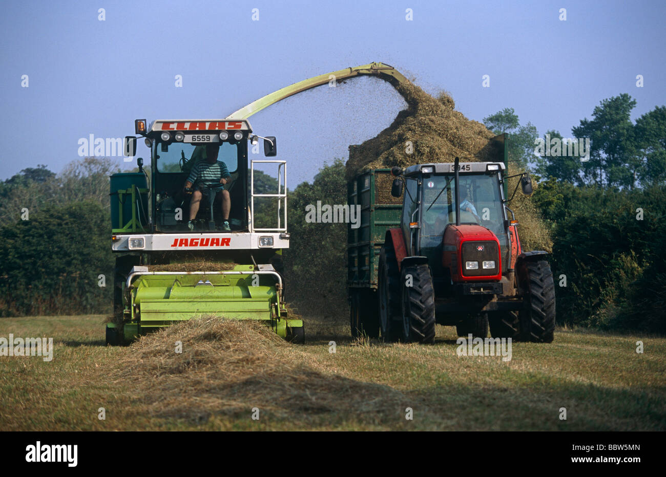 Small combine harvester picks up dried cut silage grass for tractor and ...