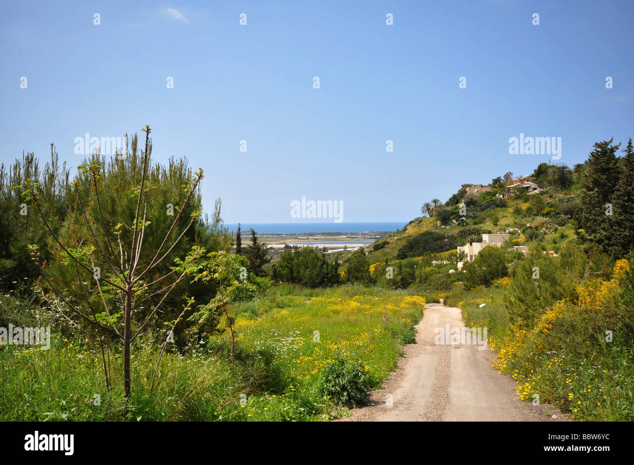 Israel Carmel Mountain Range Ein Hod Artist s village Stock Photo - Alamy