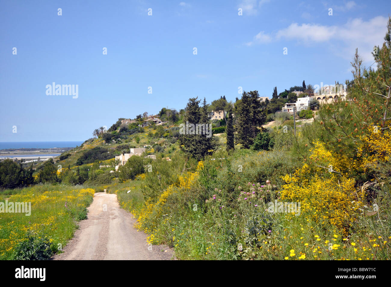 Israel Carmel Mountain Range Ein Hod Artist s village Stock Photo - Alamy