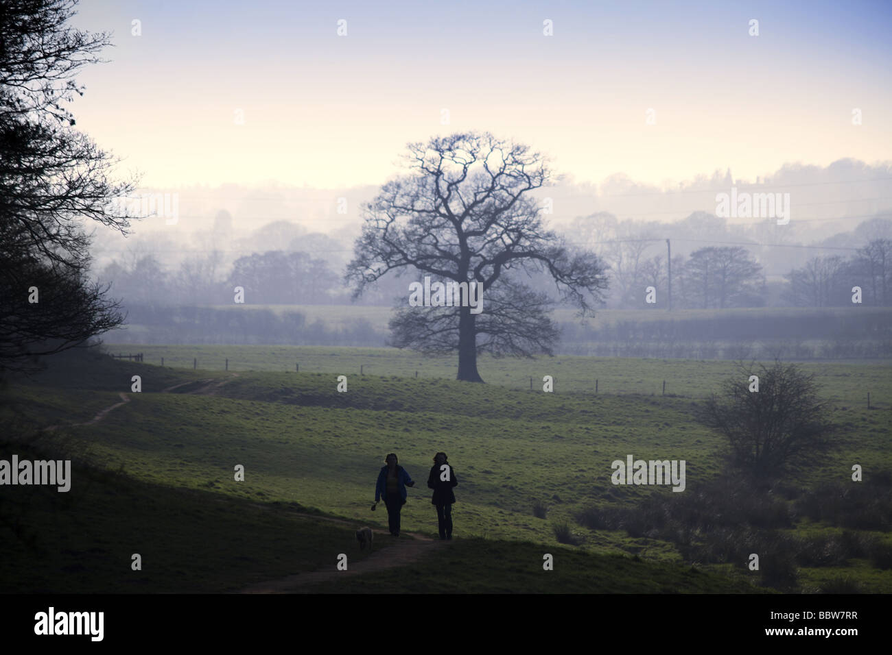 Walkers with trekking pole hi-res stock photography and images - Alamy
