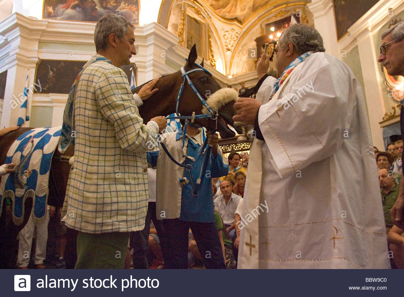 Priest Blessing Animal High Resolution Stock Photography and Images - Alamy