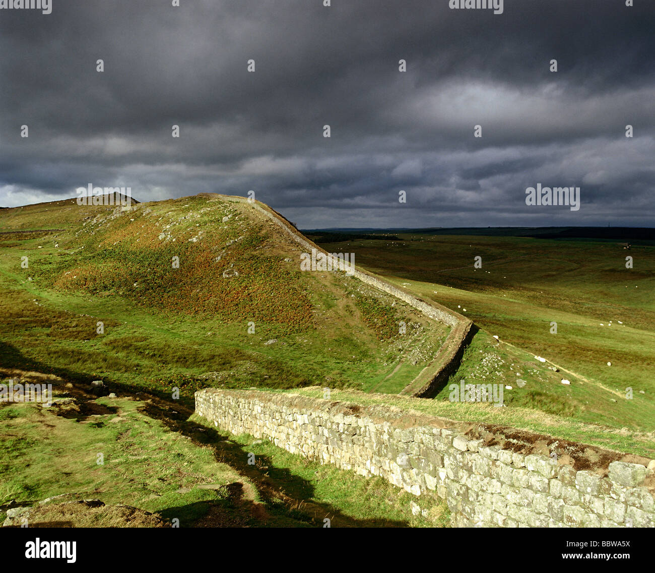 Hadrians Wall Housestead Northumberland 1990s Circa 1995 UK HOMER SYKES ...