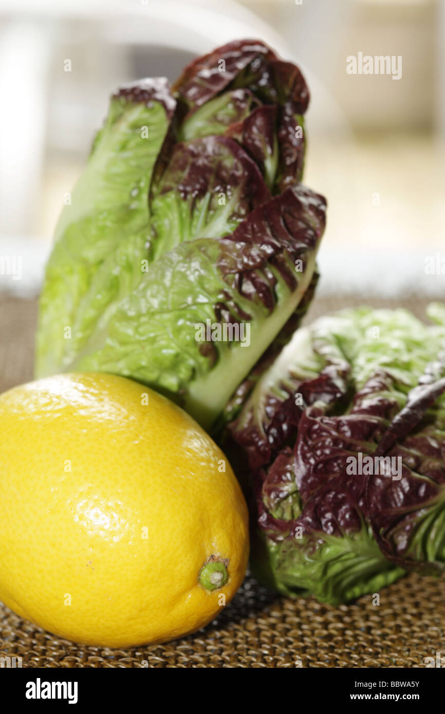 Whole gem lettuce hi-res stock photography and images - Alamy