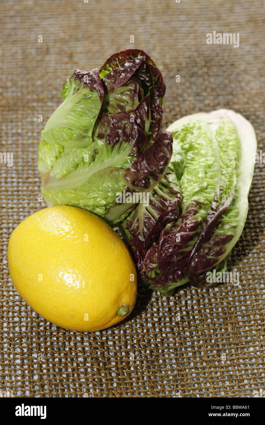 Gem Lettuce and Lemon Stock Photo - Alamy