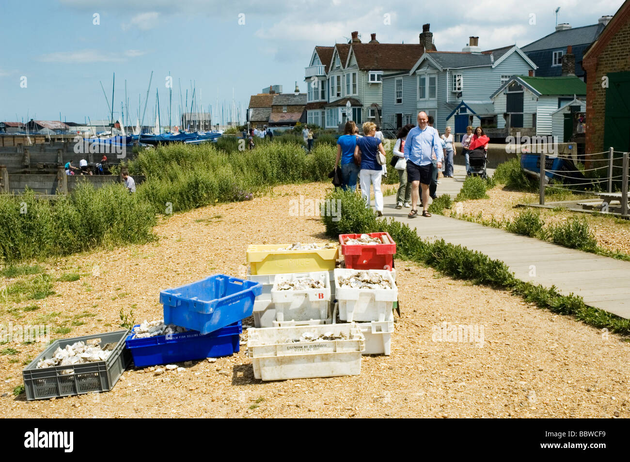 Whitstable boardwalk hi-res stock photography and images - Alamy