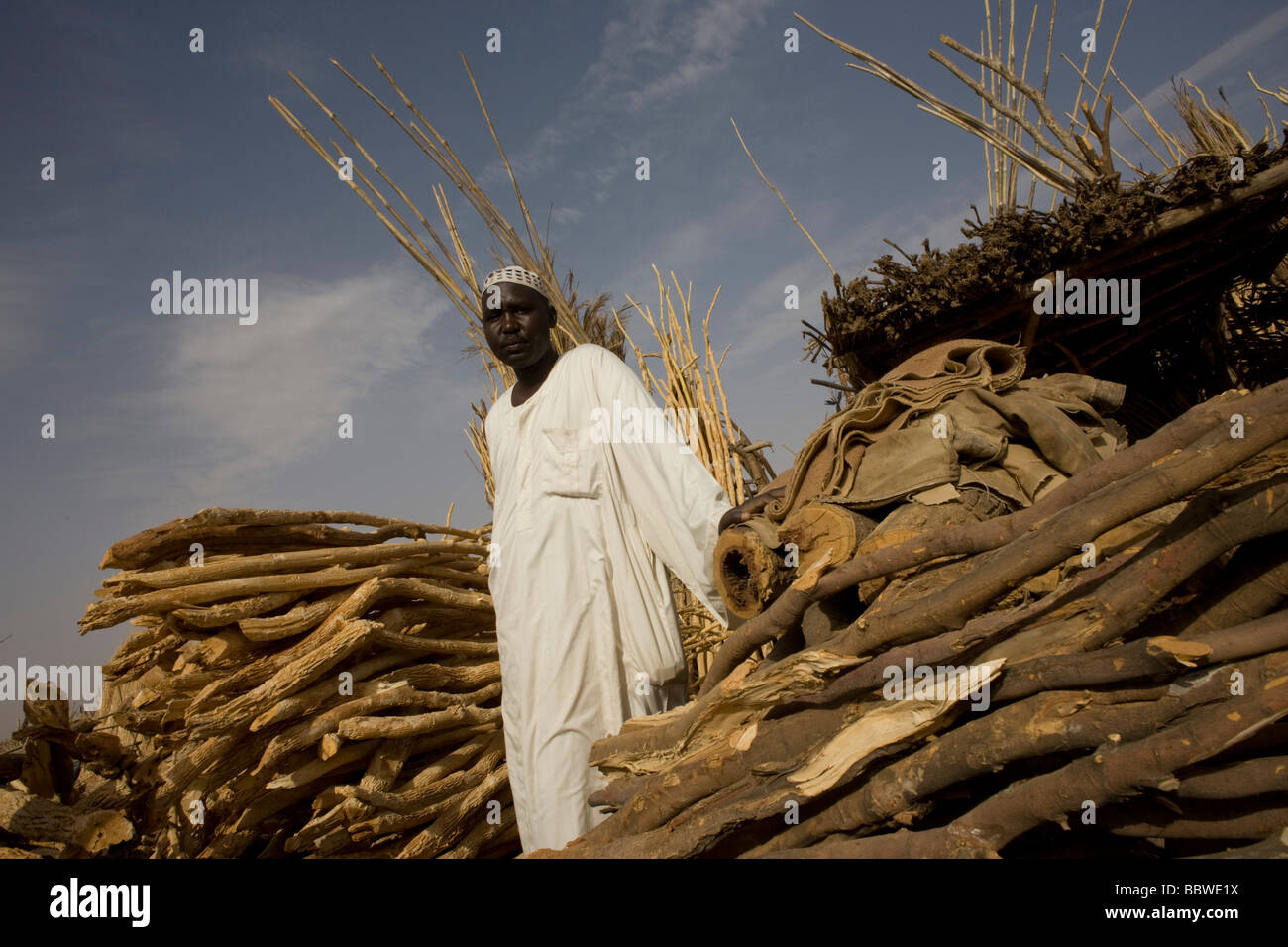Wood merchant selling wood from stall supplying building materials and ...