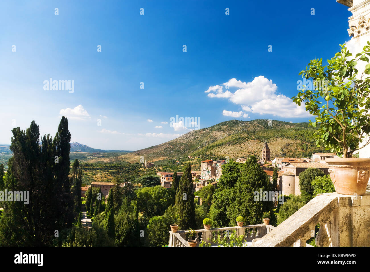 Hill lemon hi-res stock photography and images - Alamy