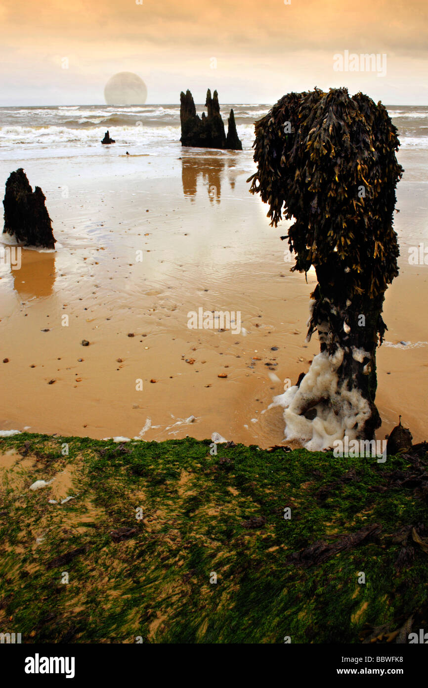 Alien planet seashore Stock Photo - Alamy