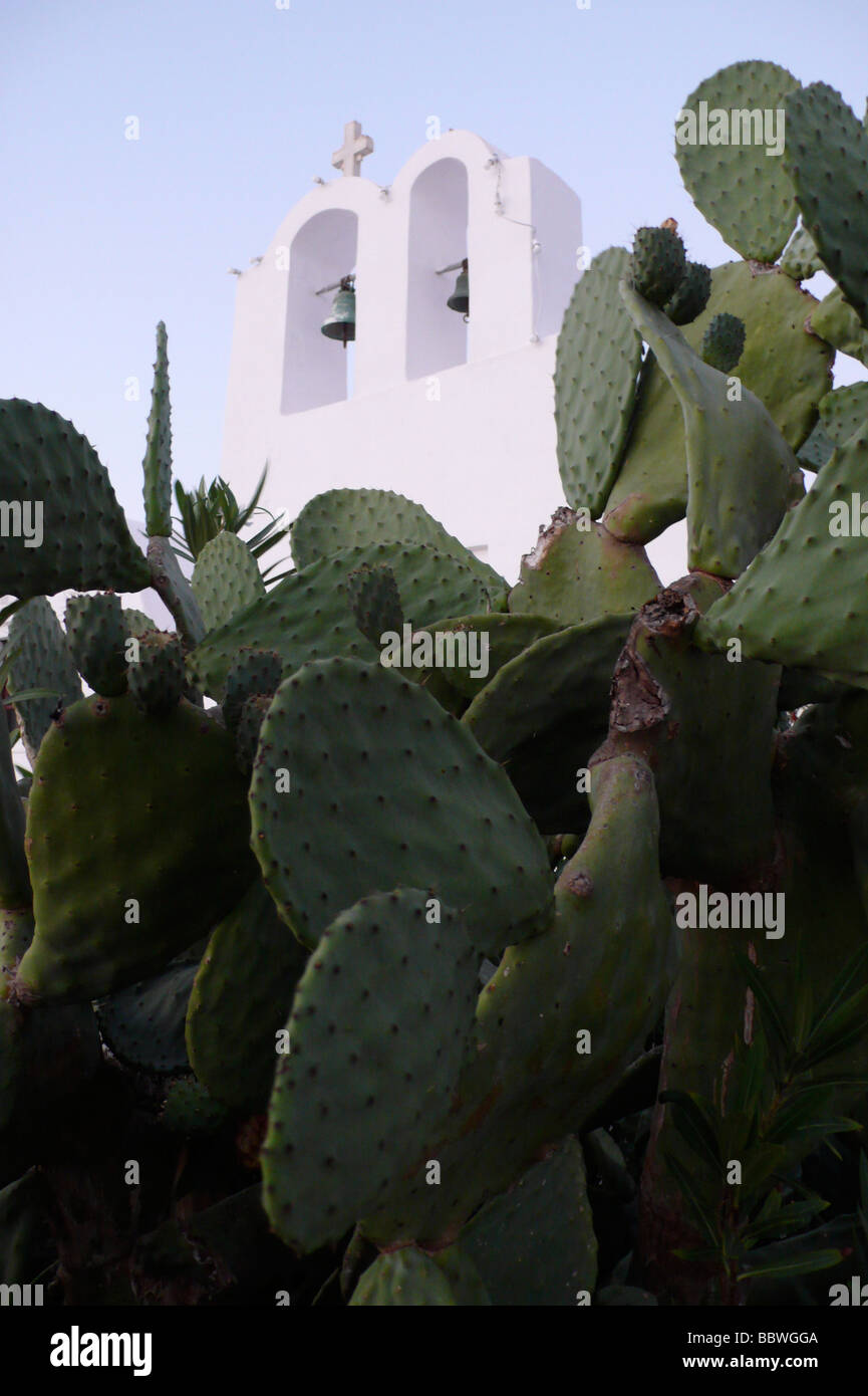 Cactus with Greek church bells in background Stock Photo - Alamy