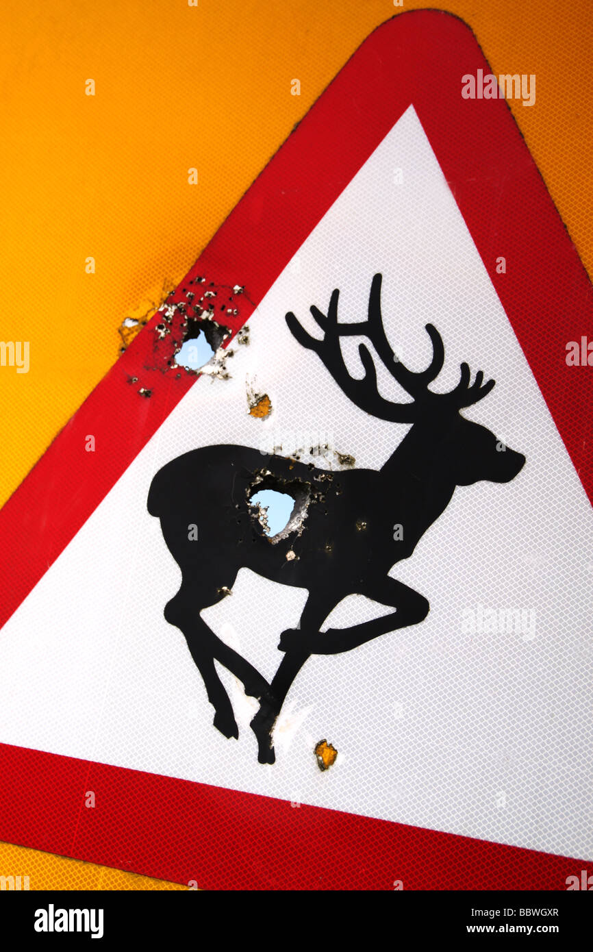 deer road sign Stock Photo - Alamy