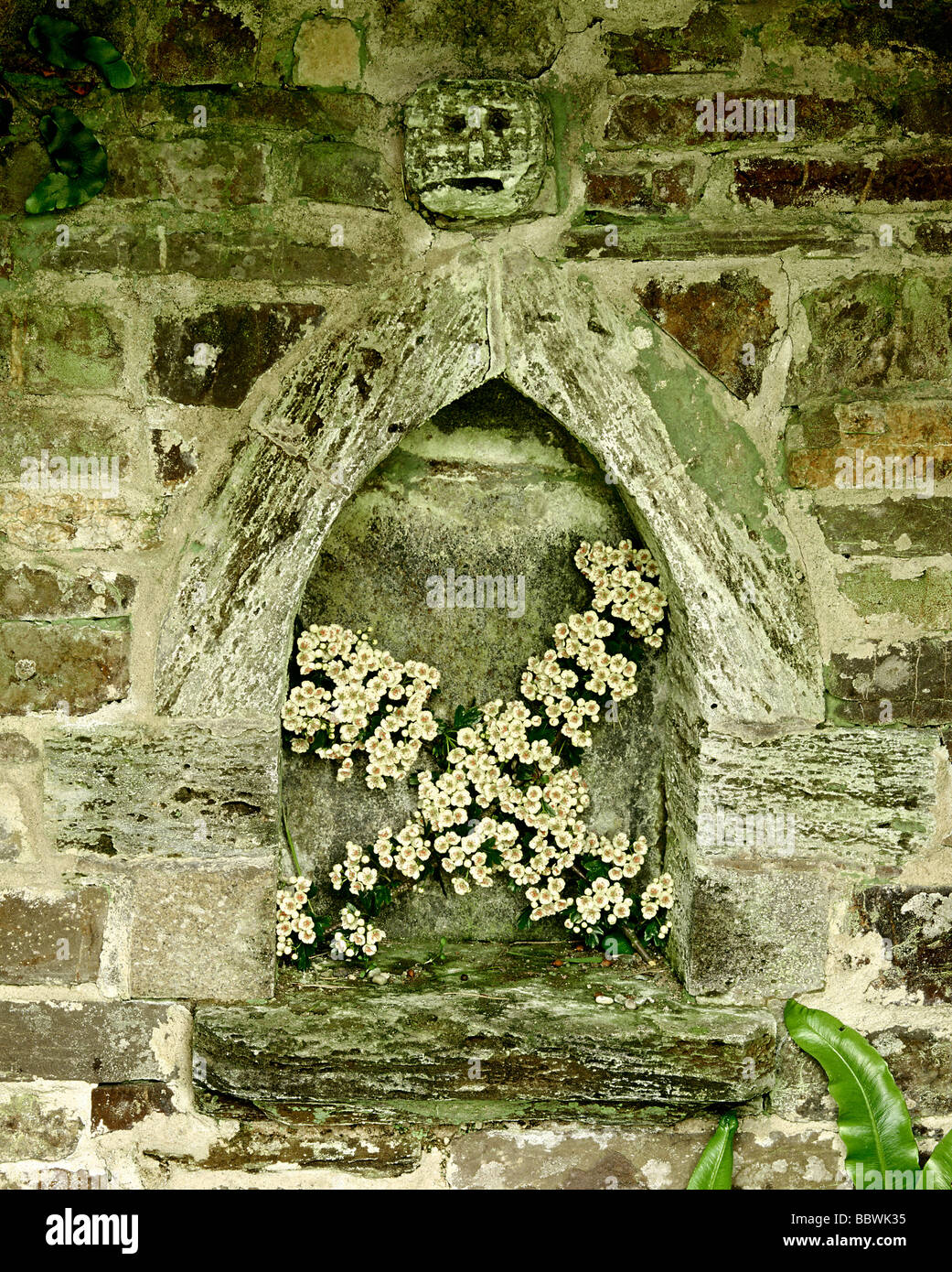 The holy well of st anne hi-res stock photography and images - Alamy