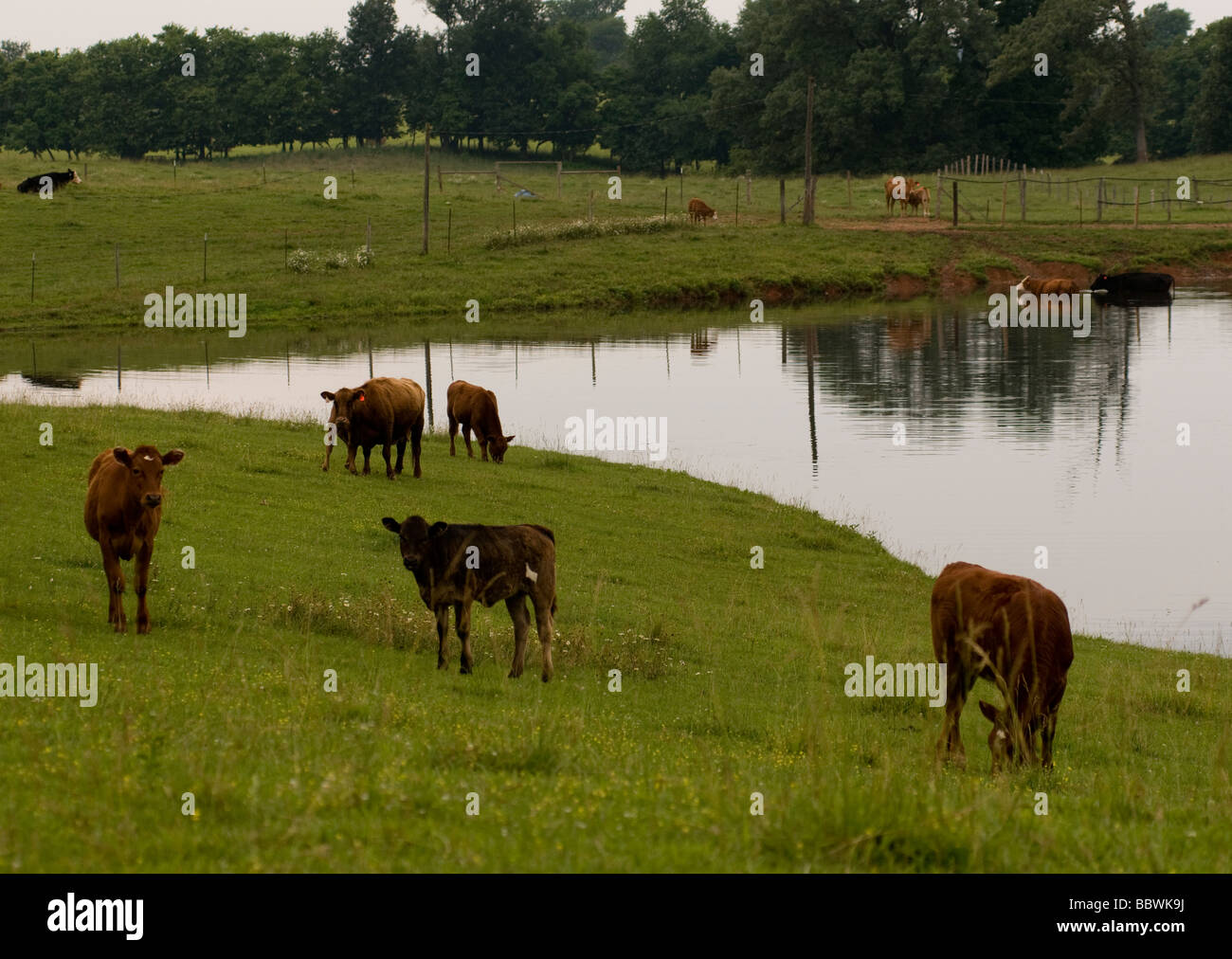 Kentucky bank hi-res stock photography and images - Alamy