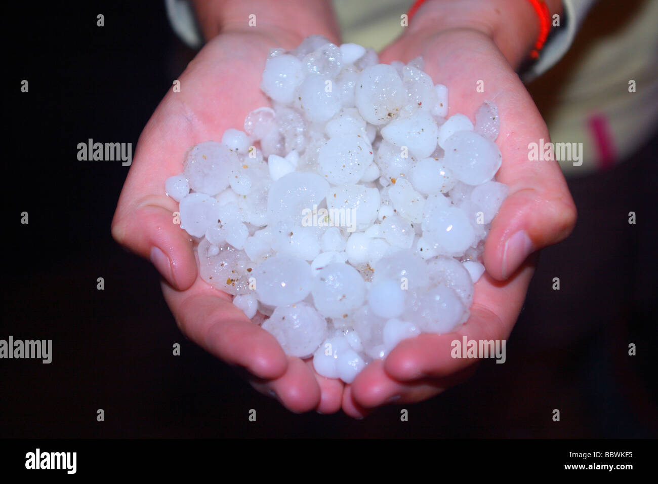 Hands with hail-stones after a hailstorm Stock Photo - Alamy