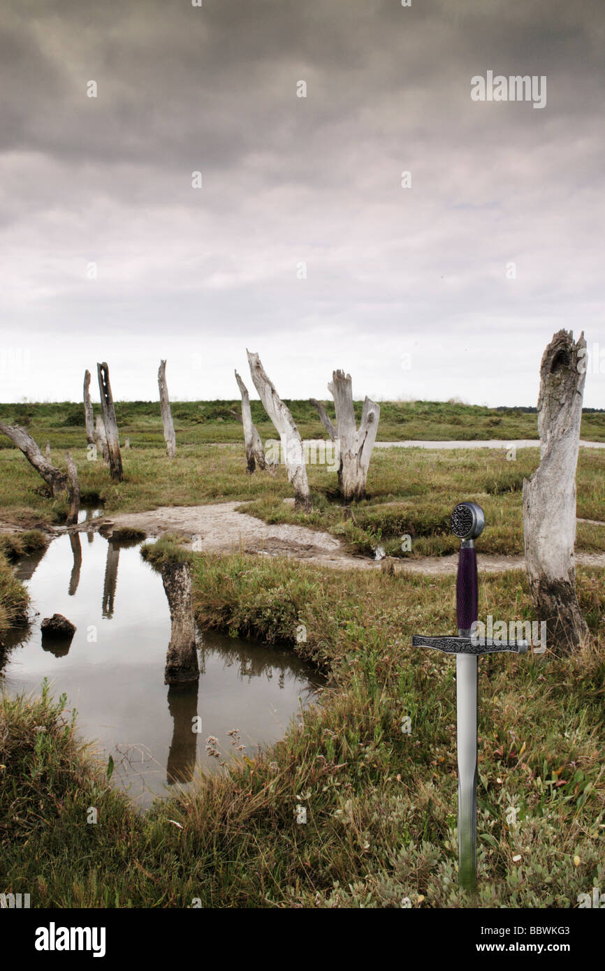 Medieval sword in a creepy decaying landscape Stock Photo - Alamy
