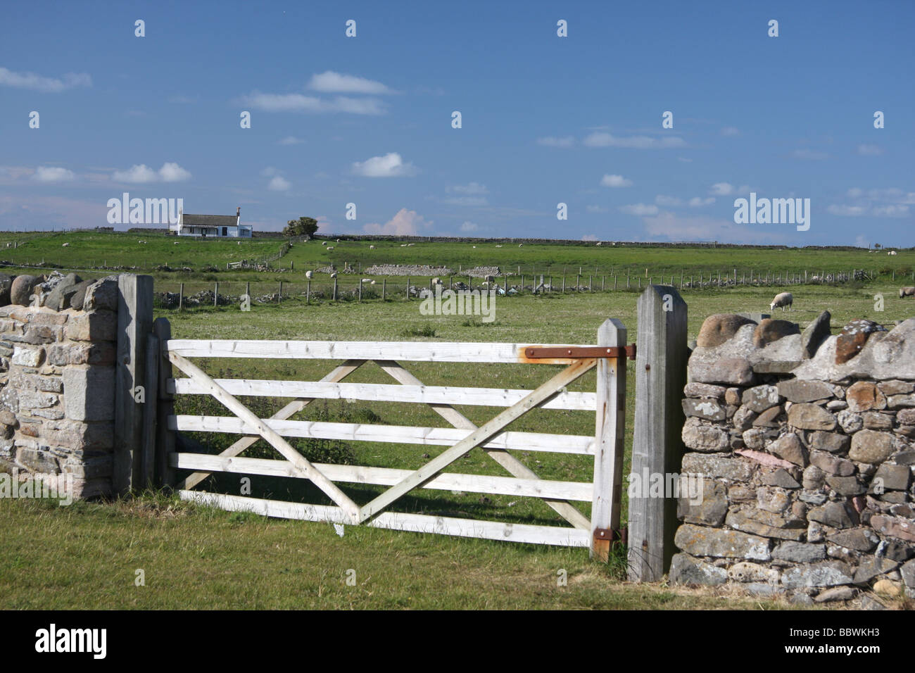 Five barred gate hi-res stock photography and images - Alamy