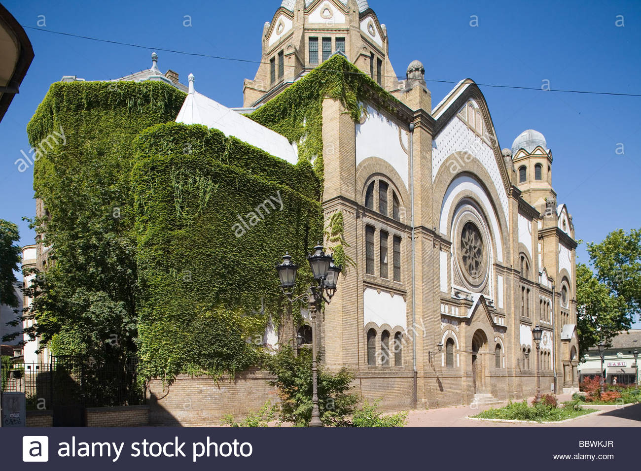Novosadska High Resolution Stock Photography and Images - Alamy