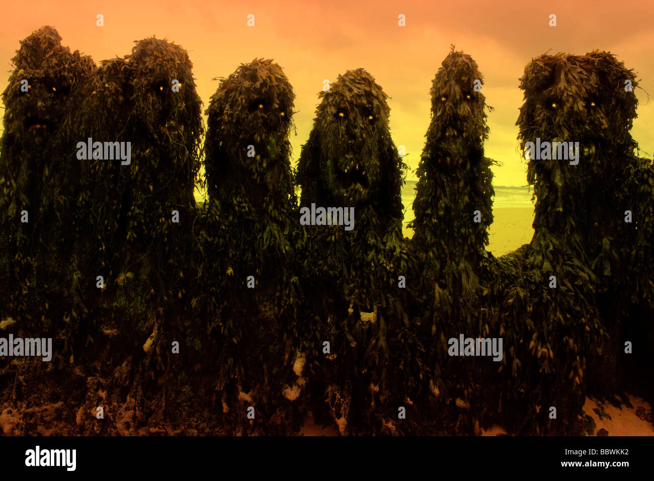 Alien Seaweed Monsters Stock Photo - Alamy