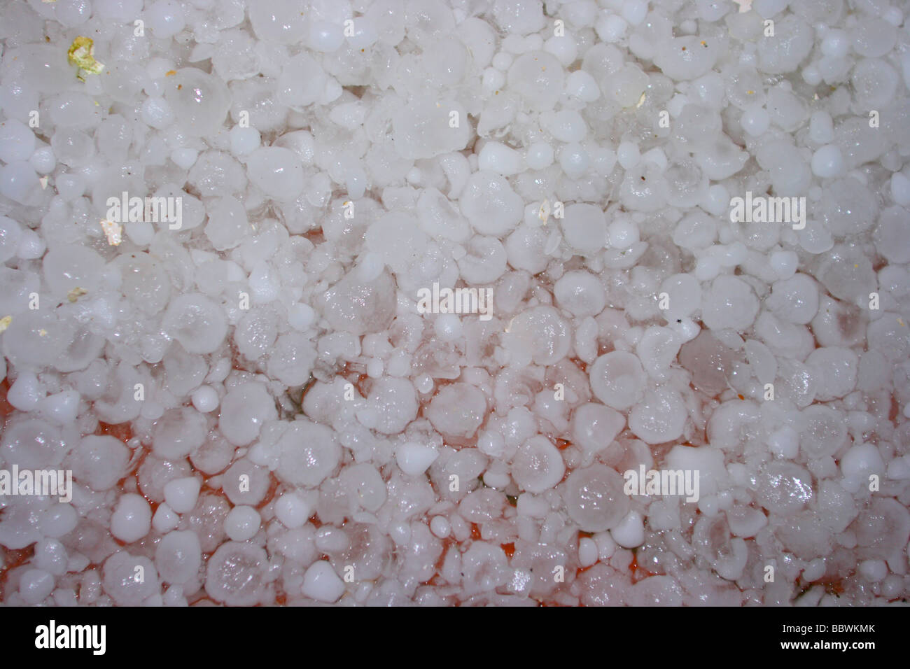 Close up of hail-stones after a hailstorm Stock Photo - Alamy