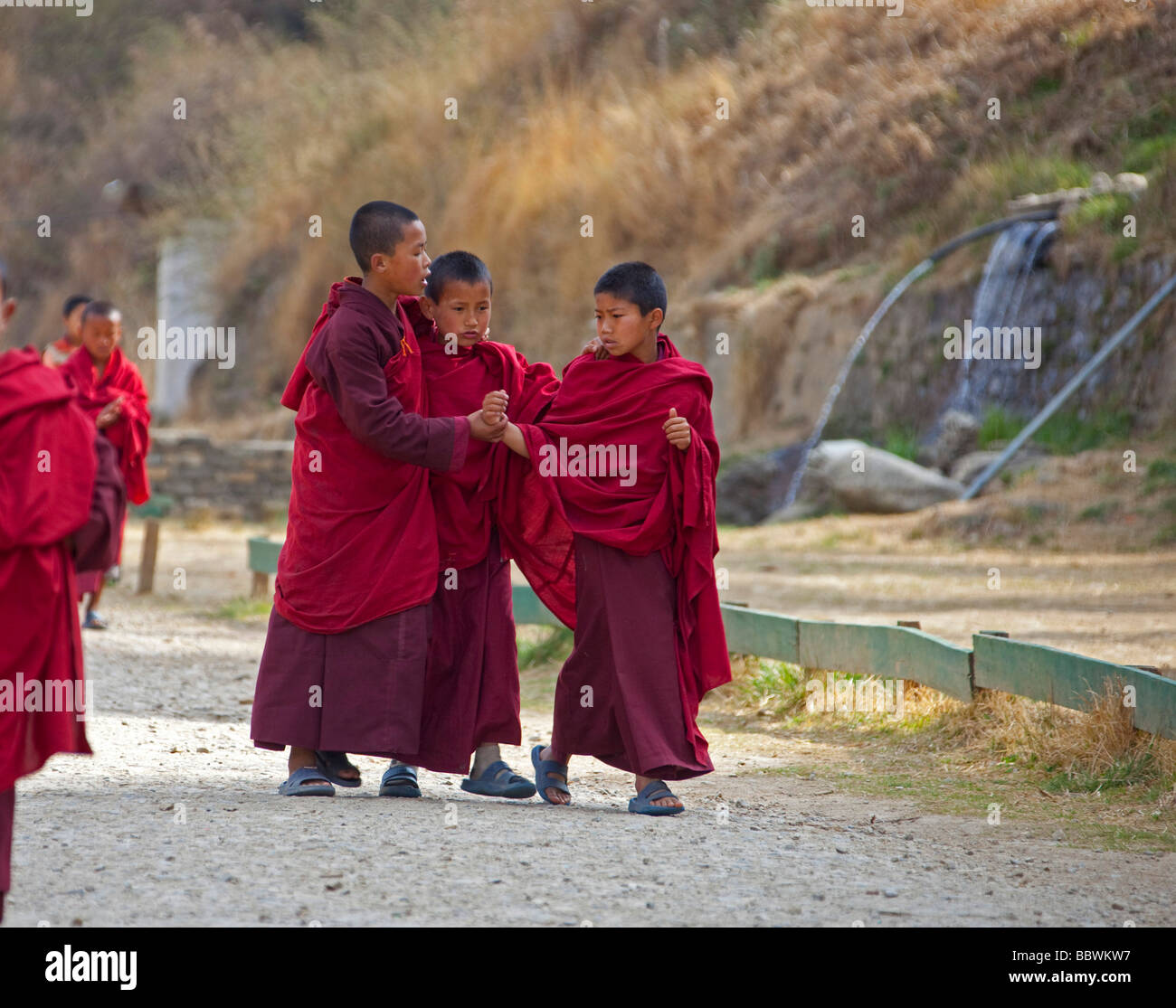 Young monks in red habit Thimphu monastery, Bhutan Stock Photo - Alamy