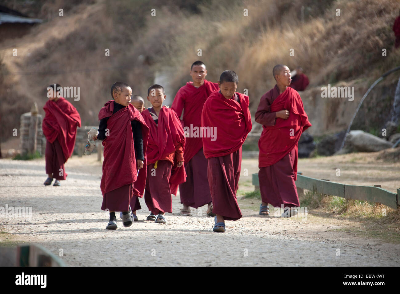 Young monks in red habit Thimphu monastery, Bhutan Stock Photo - Alamy