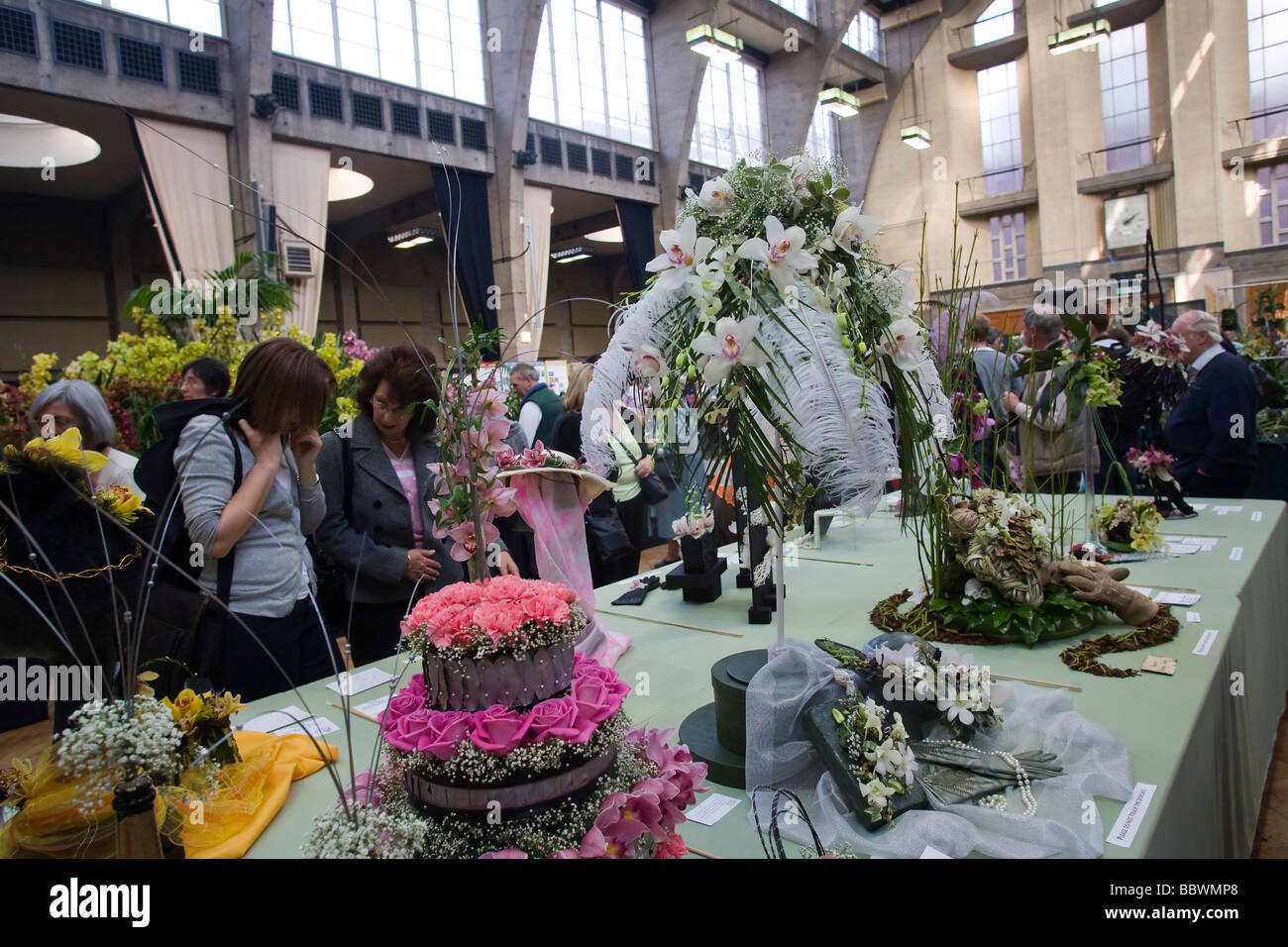 Orchid floral displays on exhibition Stock Photo - Alamy
