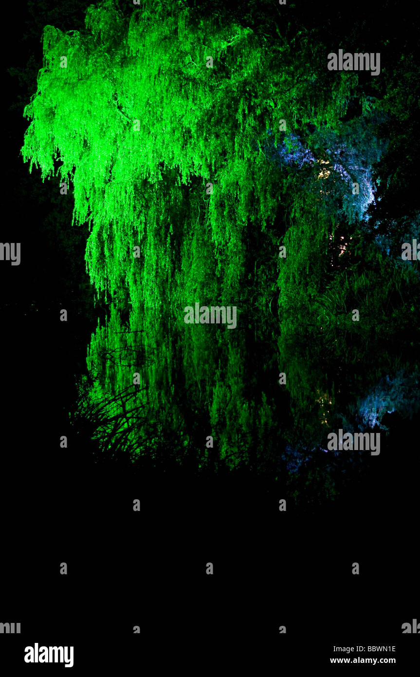 Green flood lit tree lake hi-res stock photography and images - Alamy
