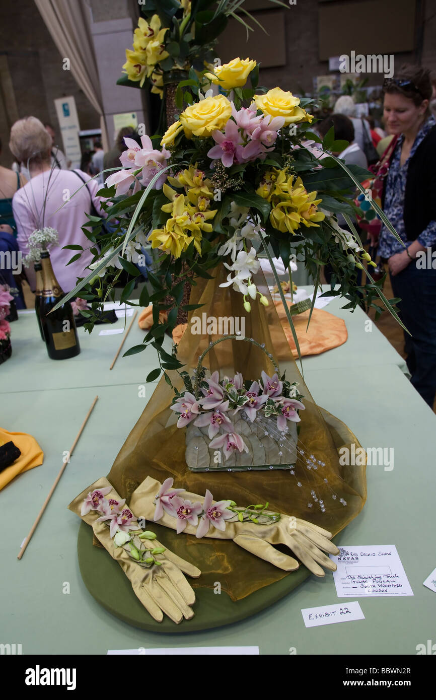 Orchid floral displays on exhibition Stock Photo - Alamy