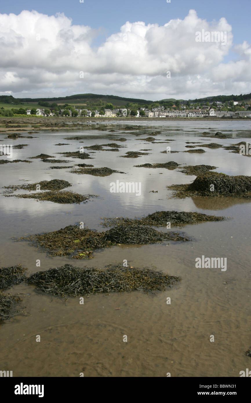 Lochgilphead, Scotland. Low tidal view looking north over Loch Gilp ...