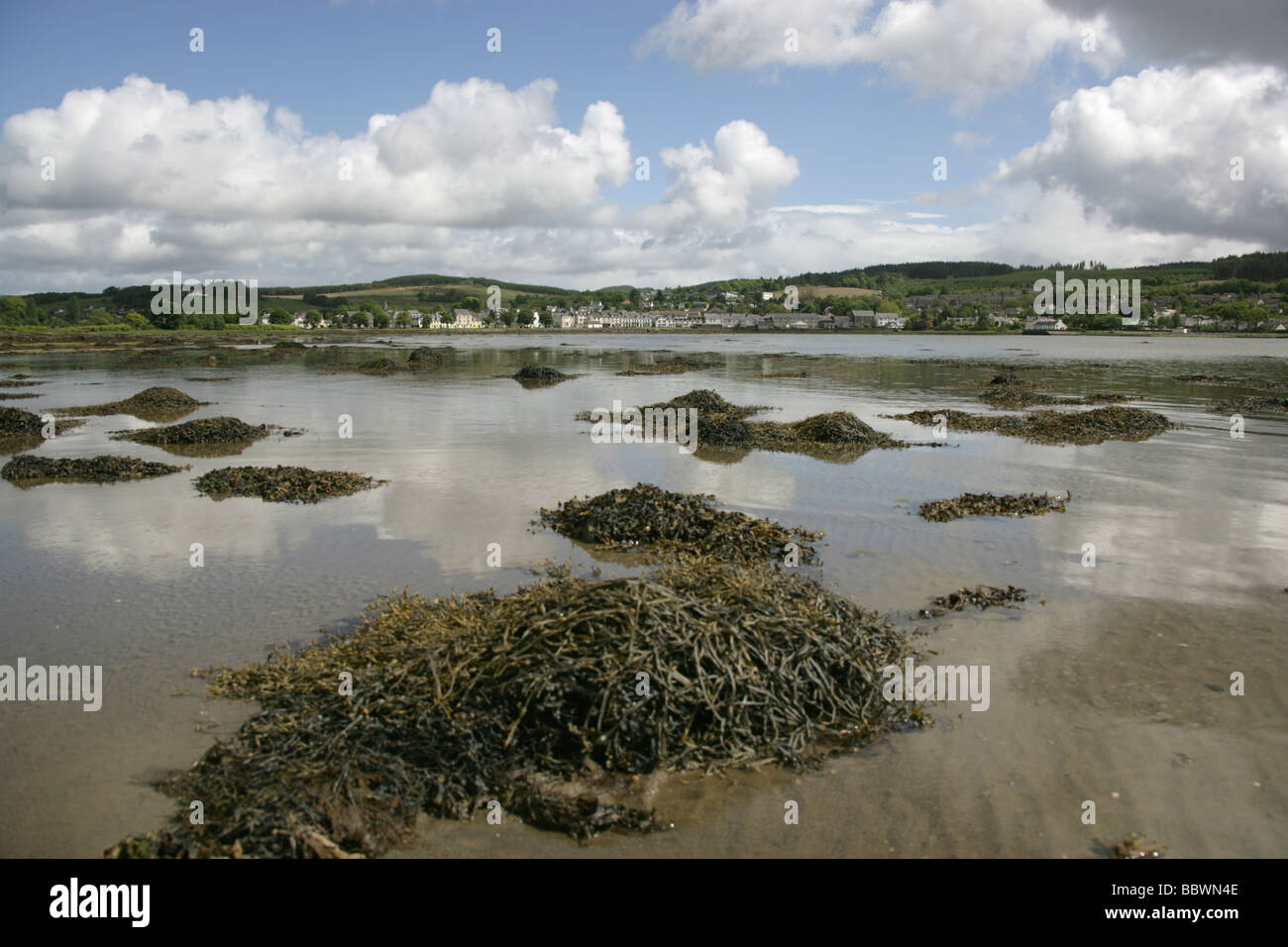Lochgilphead, Scotland. Low tidal view looking north over Loch Gilp ...