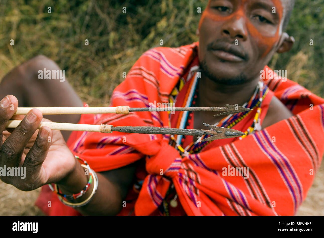 Masai arrow poison hi-res stock photography and images - Alamy