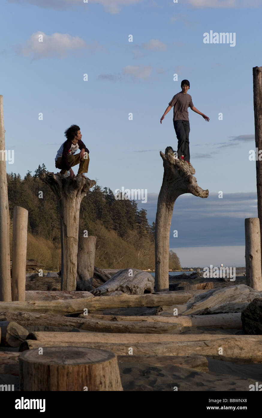 People standing on wooden posts along shoreline in Vancouver, British ...
