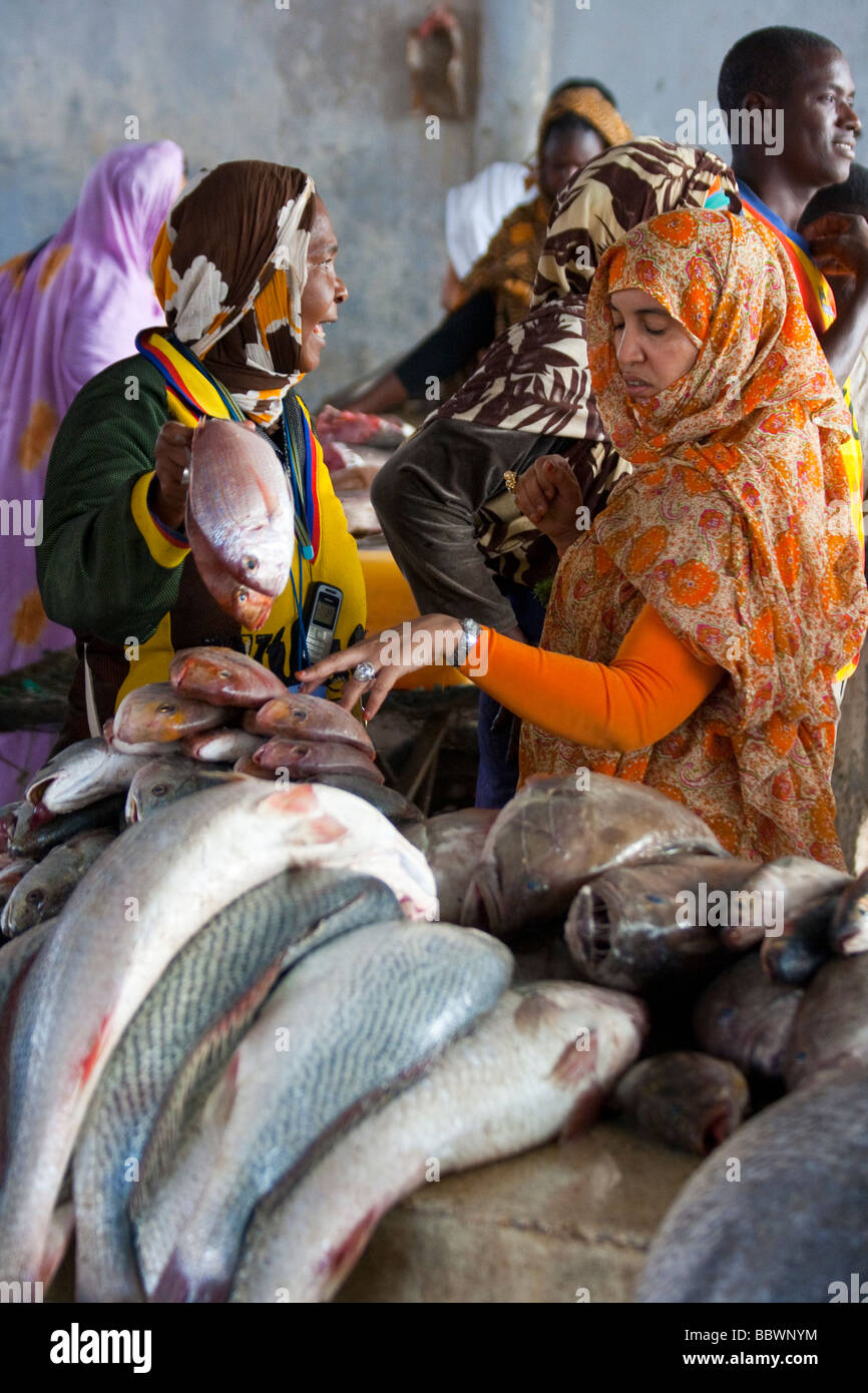 Women in the Fish Market in Nouakchott Mauritania Stock Photo - Alamy