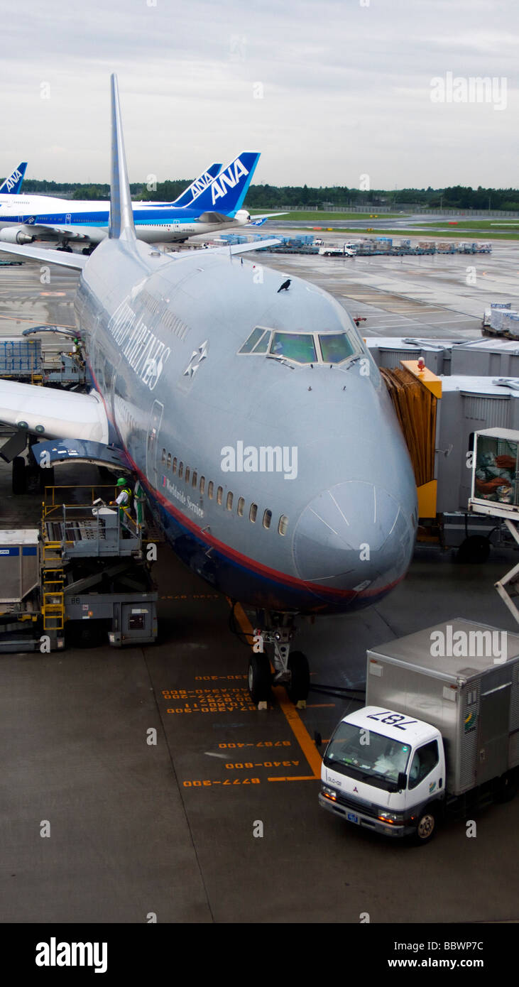 Bird sits on cockpit roof of United Airlines Boeing 747 at gate Narita ...