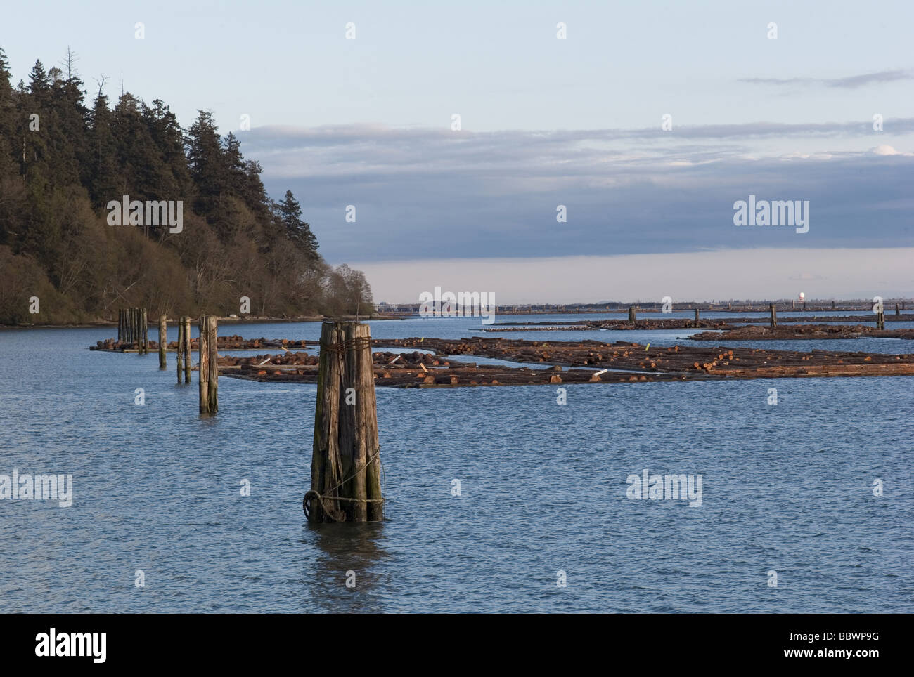 Wooden posts in ocean along shoreline in Vancouver, British Columbia ...