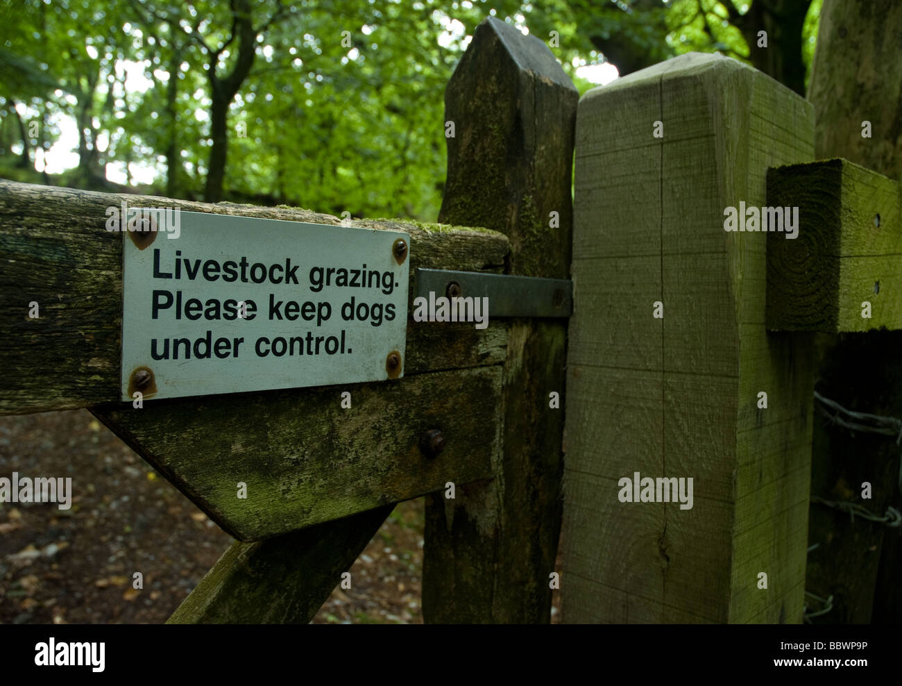 Green gate sign dogs hi-res stock photography and images - Alamy