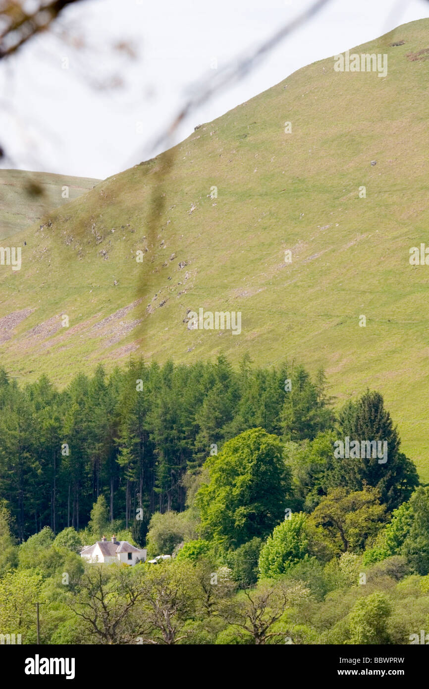 Ettrick Marshes - Owned by The Forestry Commision and run by the ...