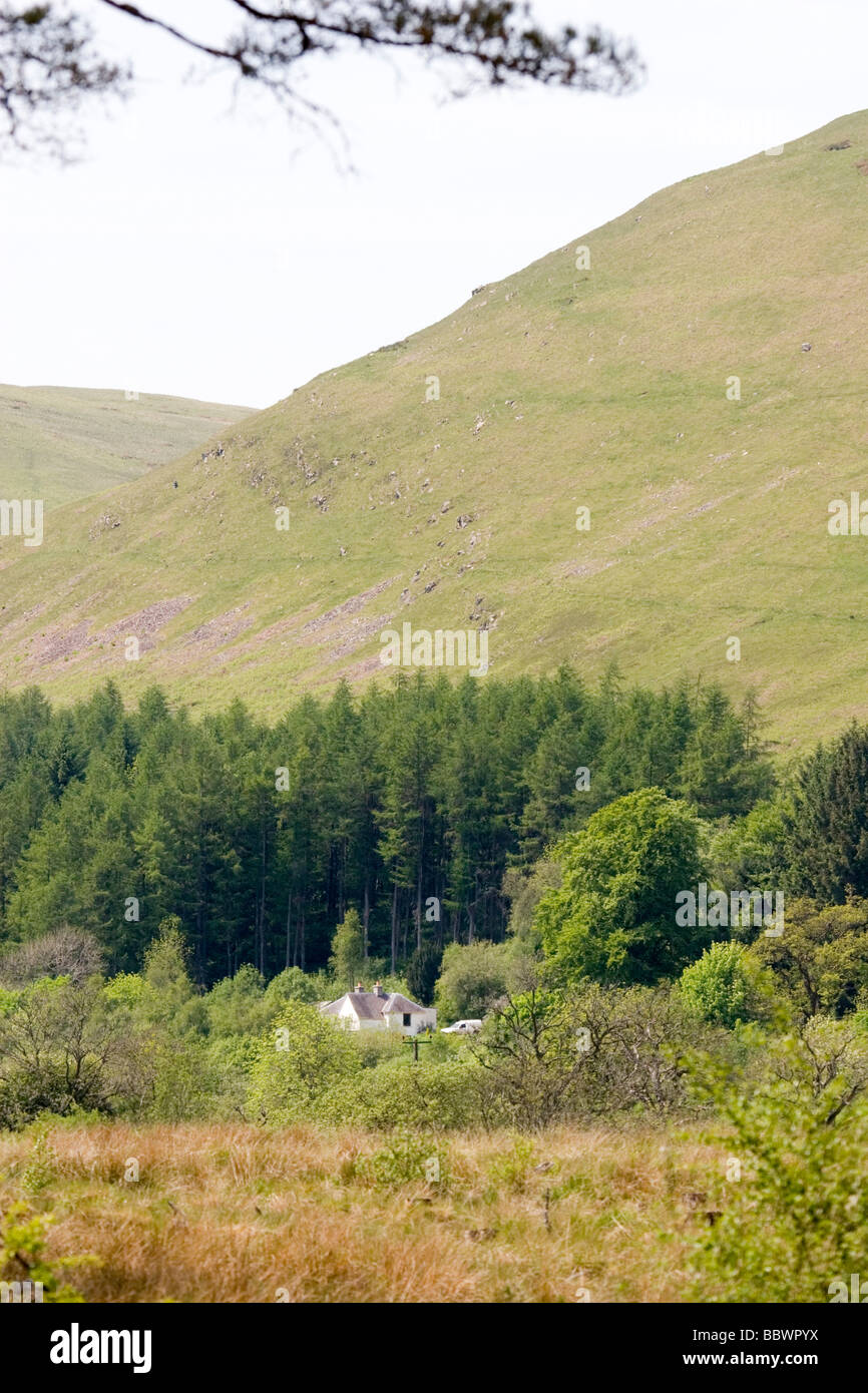 Ettrick Marshes - Owned by The Forestry Commision and run by the ...