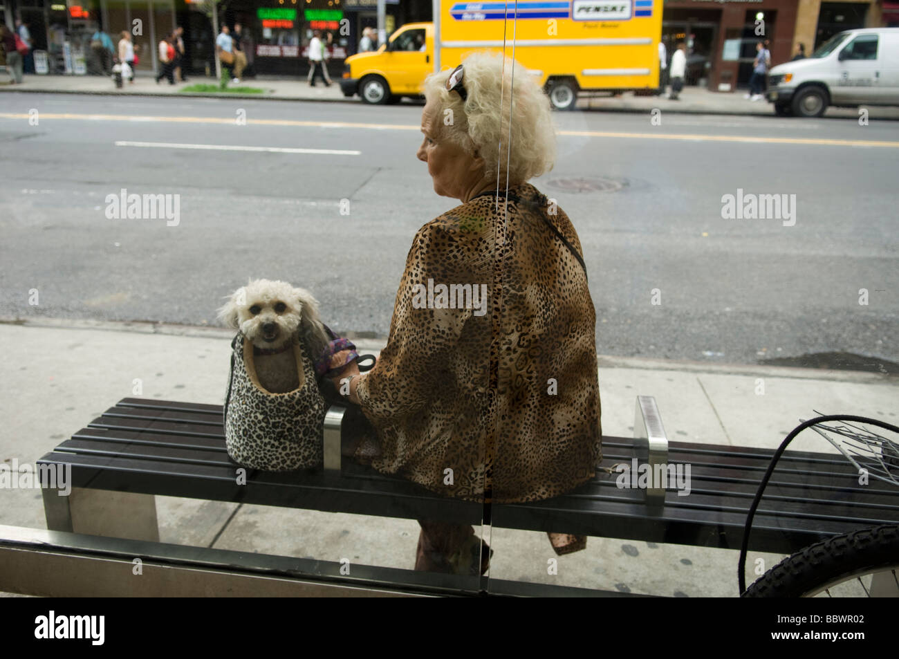 New york city bus shelter hi-res stock photography and images - Alamy