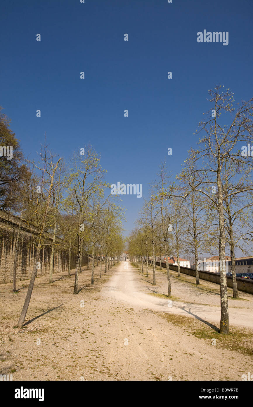 The Tree Avenue at The Rope Factory Museum Rochefort Charente Maritime ...