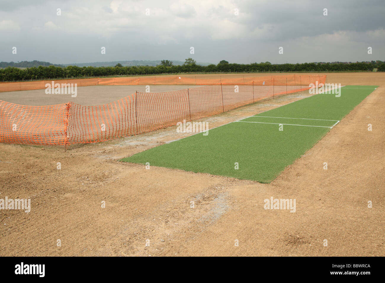 Cricket square hi-res stock photography and images - Alamy