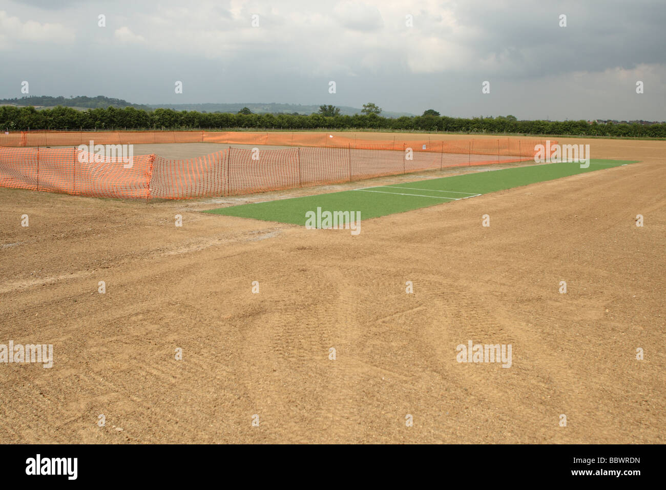Cricket square hi-res stock photography and images - Alamy