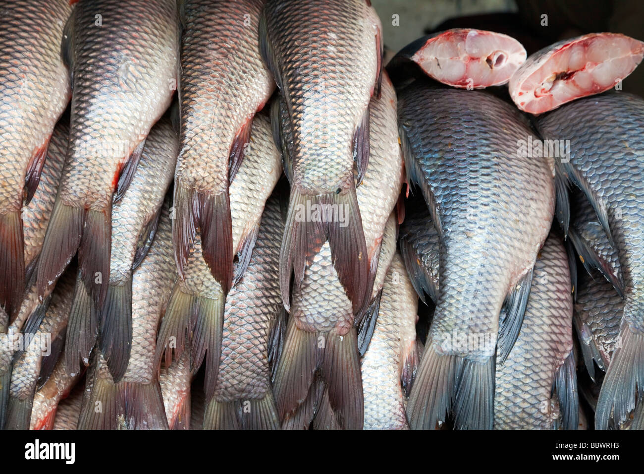 Fish on display at a market stall, India Stock Photo - Alamy