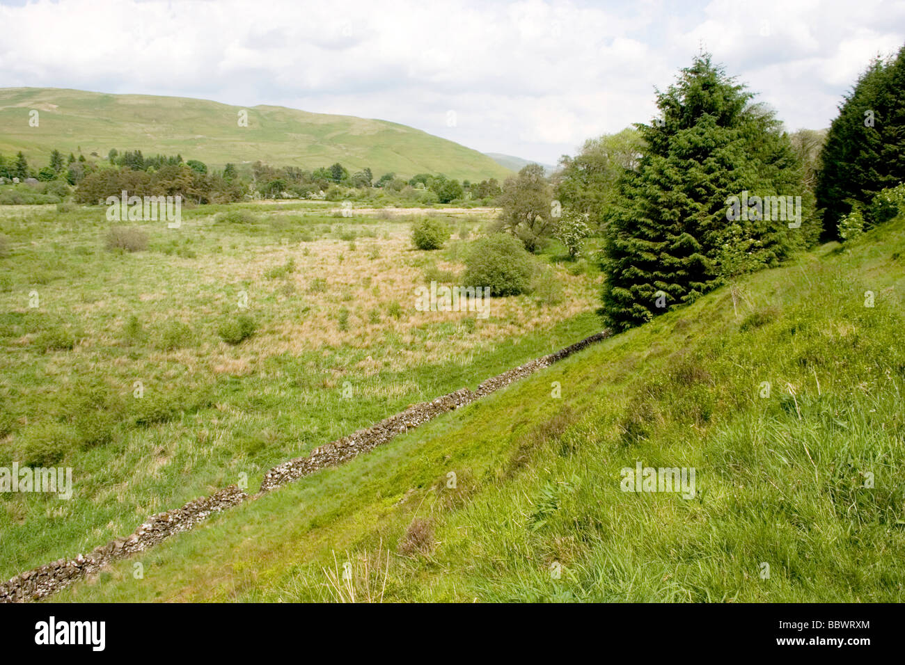Habitat borders hi-res stock photography and images - Alamy